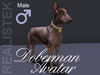 Second Life Marketplace - Doberman Dog Avatar Brown male