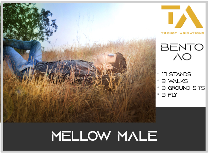 Second Life Marketplace - TA BENTO AO Mellow Male
