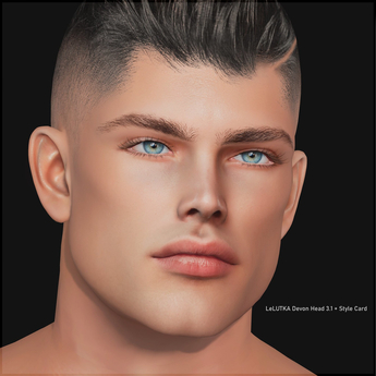 Second Life Marketplace - Devon Shape for LeLUTKA Devon Head 3.1