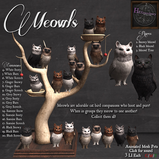 Second Life Marketplace - 2. *HEXtraordinary* Black Meowl - RARE