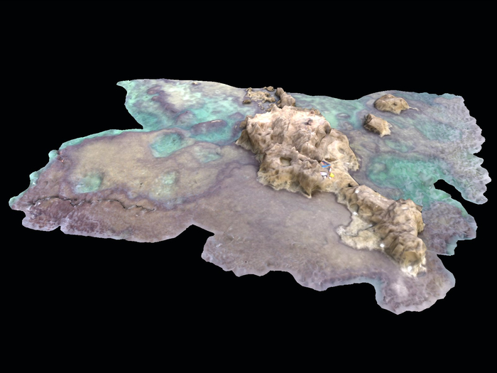 Second Life Marketplace - Full Perm Scanned "Intertidal shore ...