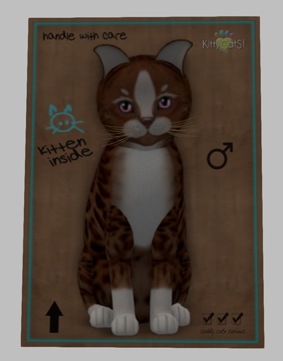 Second Life Marketplace - Kitty Cats Box - New Born Kitten 4T