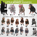 Second Life Marketplace - SEmotion Libellune Little Monkey Animesh #10 ...