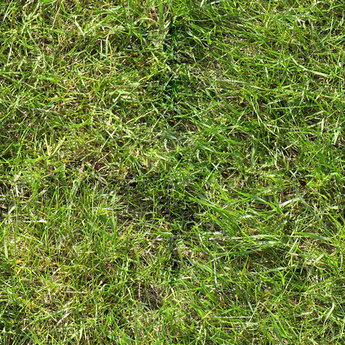 Second Life Marketplace - 3 Grass size 512 x 512