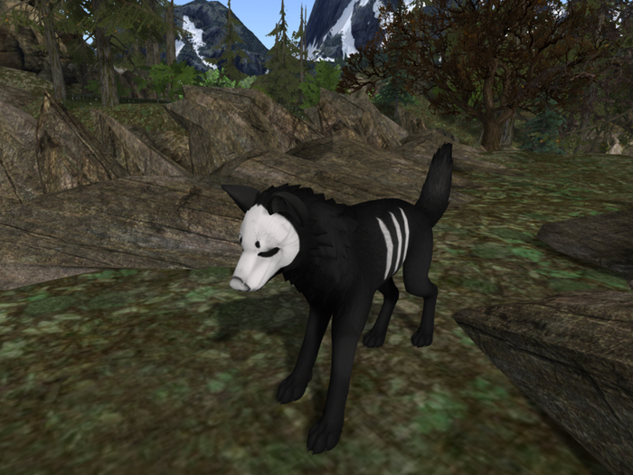 Second Life Marketplace - Dare to dream for TWI Wolf