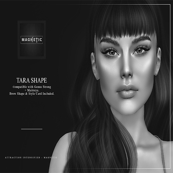 Second Life Marketplace - Magnetic - Tara DEMO