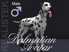 Second Life Marketplace - Dalmatian Dog Avatar (male)