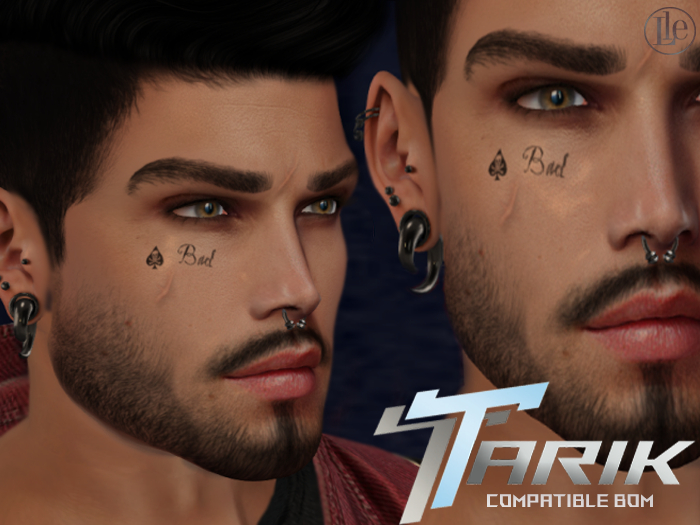 Second Life Marketplace - -- T. TARIK -- Pack ' Beard 19 // BOM ...