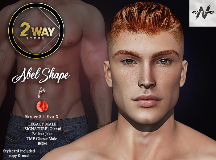 Second Life Marketplace - 2WAY - Abel Shape for Lelutka Head Skyler 3.1 ...