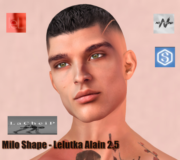 Second Life Marketplace - Milo Shape Alain 2.5/Signature Gianni (Wear)