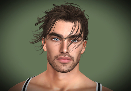 Second Life Marketplace - SHAPE for Lelutka EON EvoX Head 3.1 and ...