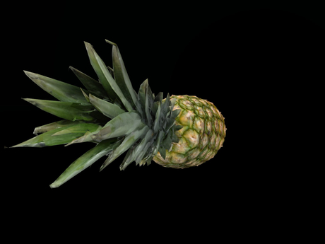 Second Life Marketplace - Full Perm Scanned "Pineapple"