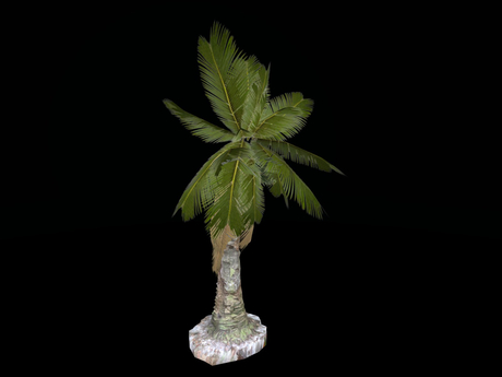 Second Life Marketplace - Full Perm Palm Tree with Scanned Trunk