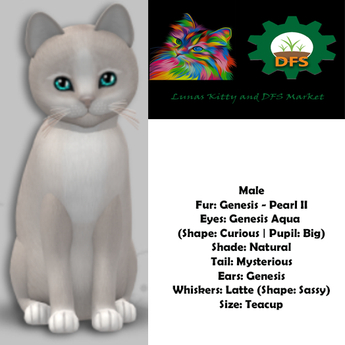 Second Life Marketplace - Genesis - Pearl II [3]+1 Traits, [6] Genesis ...