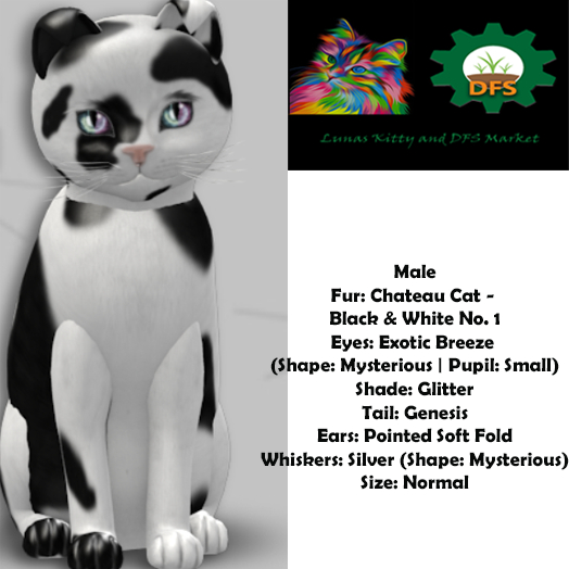 Second Life Marketplace - Chateau Cat - Black & White No. 1 [7] Traits ...