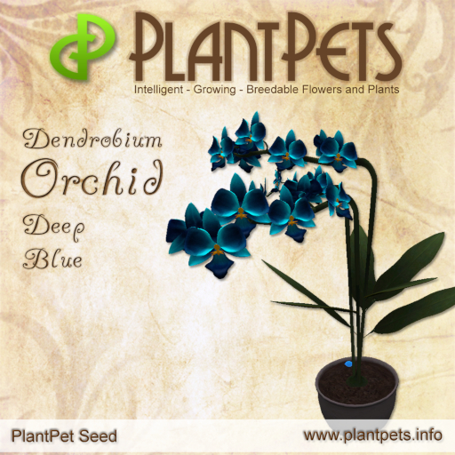Second Life Marketplace - PlantPet Seed [Dendrobium Orchid *Deep Blue ...