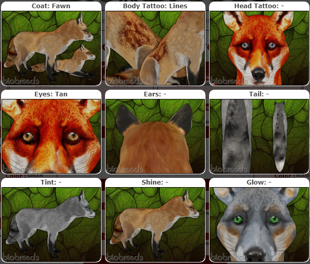 Second Life Marketplace - BB Fox Box - Female