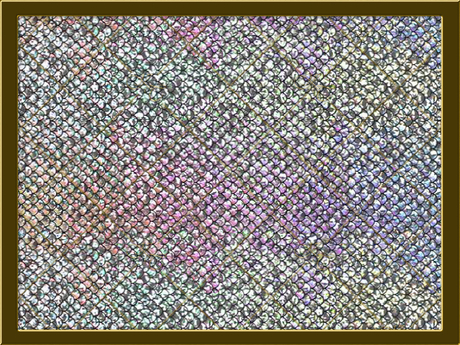 Second Life Marketplace - Sequin Scale Seamless Texture Set
