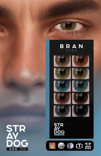 Second Life Marketplace - STRAY DOG ADD ON - BRAN EYES