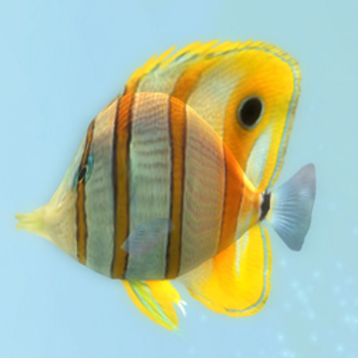 Second Life Marketplace - Anni Timeless: Anni's Butterflyfish ...