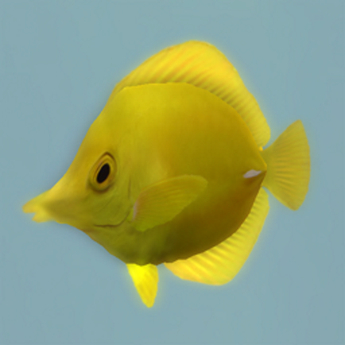 Second Life Marketplace - Anni Timeless: Anni's Yellow Sailfish Flex v2.0d