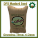 Second Life Marketplace - DFS Mustard Seed V2.2 (actual item)