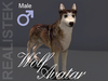 Second Life Marketplace - Wolf Avatar Grey male