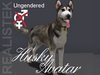 Second Life Marketplace - Husky Dog Avatar Grey