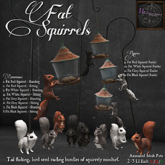 Second Life Marketplace - *HEXtraordinary* Fat Grey Squirrel - Sitting