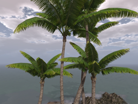 Second Life Marketplace - 5 Palms tree