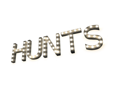 Second Life Marketplace - [Px] "HUNTS" Illuminated Light Bulbs Sign