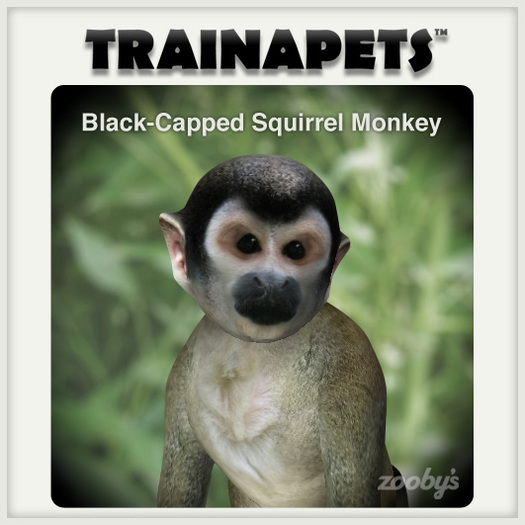 Second Life Marketplace - Zooby Black-Capped Squirrel Monkey BOXED