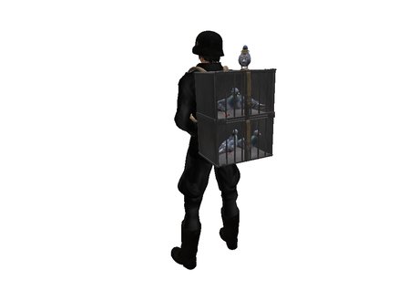Second Life Marketplace - War Pigeons