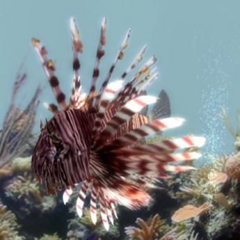 Second Life Marketplace - Anni Timeless: Anni's Archillus Tang Flex v2.0d