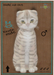 Second Life Marketplace - KittyCatS Box - Toyger - Snow
