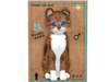 Second Life Marketplace - KittyCatS Box - 8 T - M - American Shorthair ...