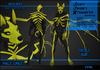 Second Life Marketplace - [VFUZZ] Aesthetic Skull Bat Radioactive