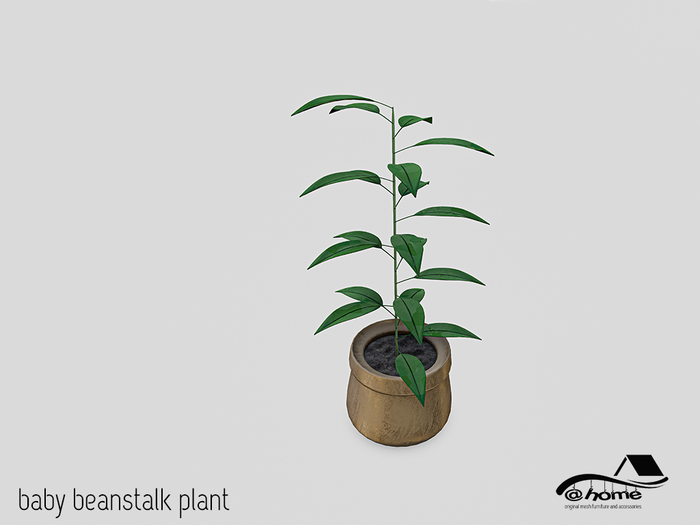 Second Life Marketplace - @home: baby beanstalk plant