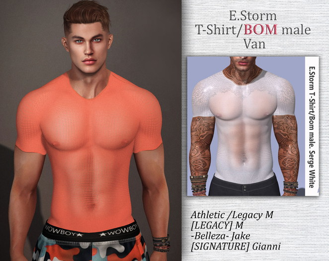 Second Life Marketplace - E.Storm T-Shirt/Bom male. Van White