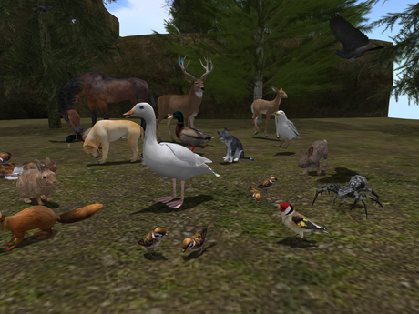Second Life Marketplace - The Animated Animals Pack Mesh