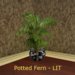 Second Life Marketplace - POTTED FERN w/TEXTURE CHANGE (COPY)