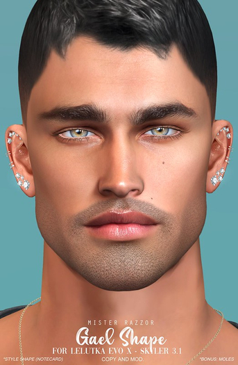 Second Life Marketplace - ((Mister Razzor)) Gael Shape for Lelutka Evo ...