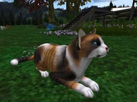 Second Life Marketplace - Calico Tabby Cat for TWI Fox Texture Applier