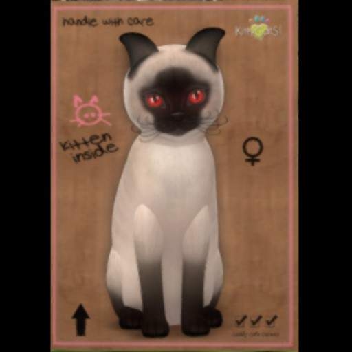Second Life Marketplace - KittyCatS Box - Siamese - Seal Passion ...