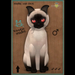 Second Life Marketplace - KittyCatS Box - Siamese - Seal Pomegranate ...
