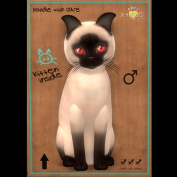 Second Life Marketplace - KittyCatS Box - Siamese - Seal Pomegranate ...