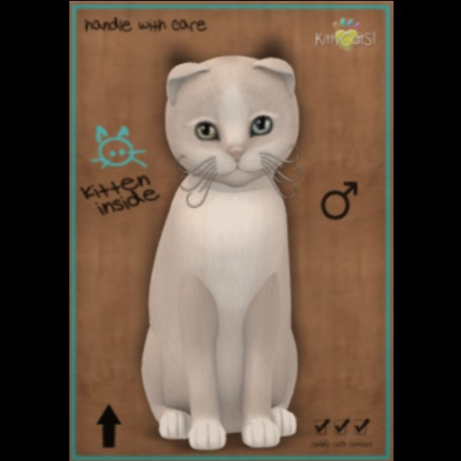 Second Life Marketplace - KittyCatS Box - Pearl II Scotty Fold Double ...