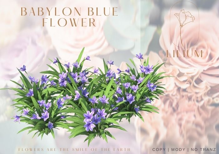Second Life Marketplace - Lilium// Babylon Blue Flower