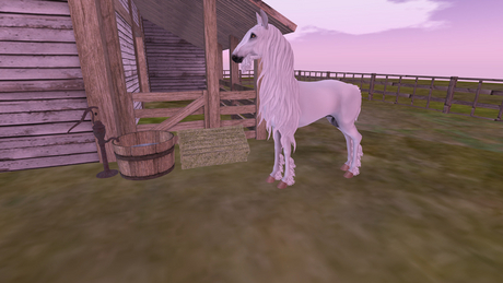 Second Life Marketplace - American Saddlebred Horse interactive water ...