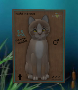 Second Life Marketplace - Genesis - Mocha II